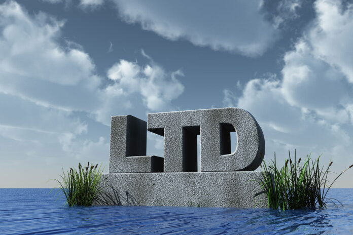 Limited company landlords pull away from individual investors, research ...